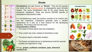 PPT PLANT KINGDOM IX - ARYAN NANDA.pdf