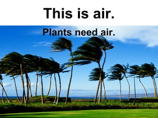 Ppt plants types, needs and growth | PPT