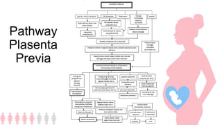 Power point edukasi PLASENTA PREVIA. ppt | PPTX
