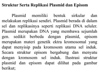 PPT Plasmid dan episom.pptx