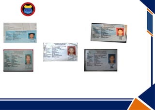 PPT PMII PEMUDA BUDIDAYA IKAN LELE (1).pptx.pdf