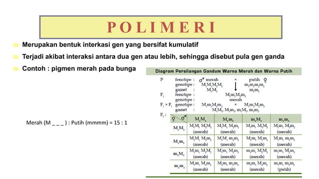 PPT POLA POLA HEREDITAS.pptx