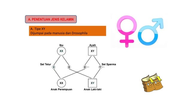 PPT POLA POLA HEREDITAS.pptx