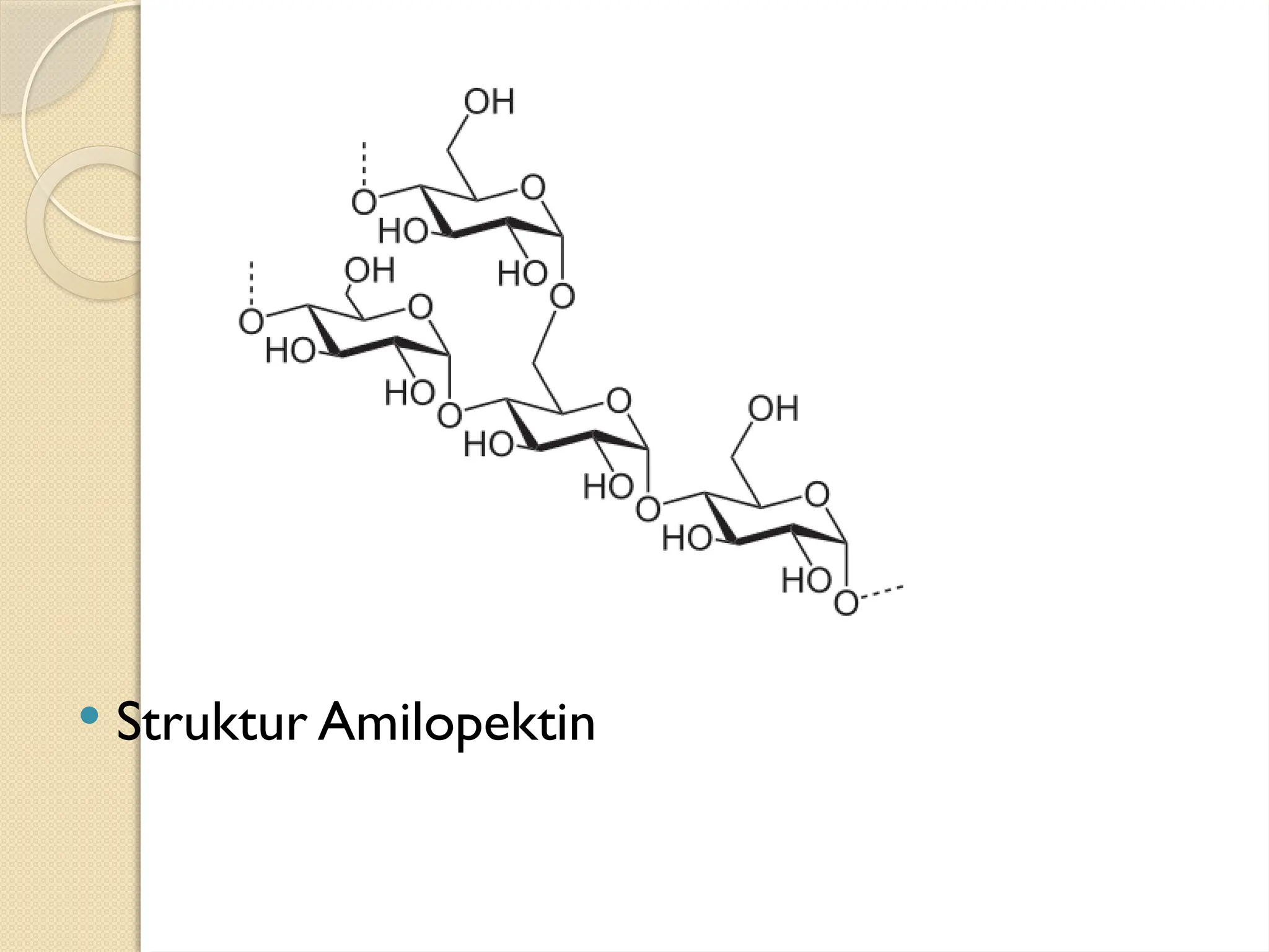PPT_Polisakarida_polimer alami_ biologi.pptx