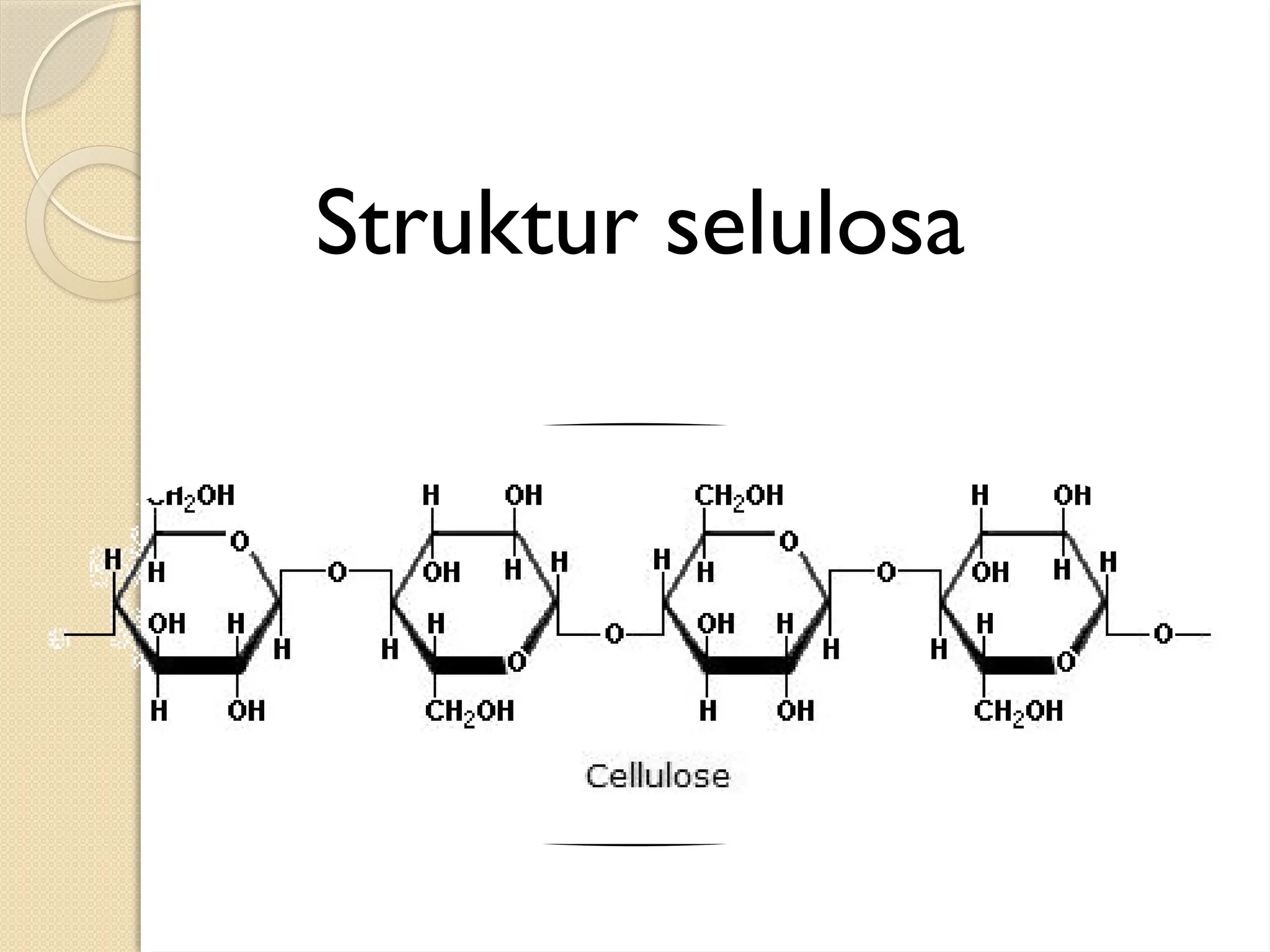 PPT_Polisakarida_polimer alami_ biologi.pptx