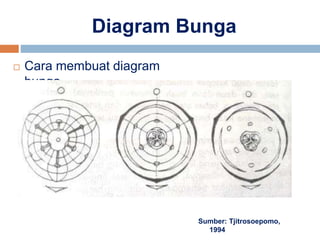 Ppt poltekes diagram dan rumus bunga | PPTX