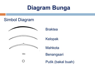 Ppt poltekes diagram dan rumus bunga | PPTX