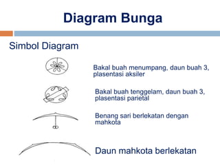 Ppt poltekes diagram dan rumus bunga | PPTX