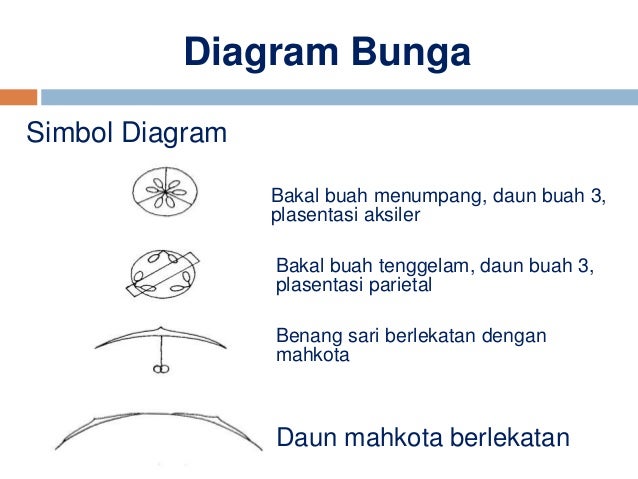 Ppt poltekes diagram dan rumus bunga