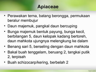 Ppt Poltekkes taksonomi tumbuhan | PPT