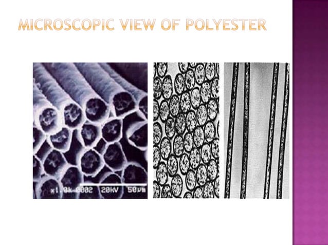 polyester presentation | PPTX