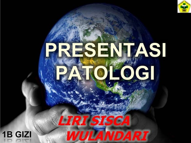 Ppt port d' entry | PPTX