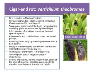 post harvest diseases of apple banana and fig.pptx [autosaved] ata | PPT