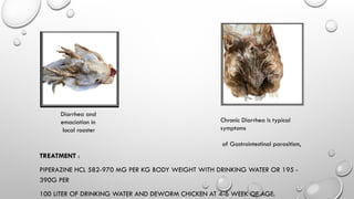 ppt diseases in poultry in poultry.pptx