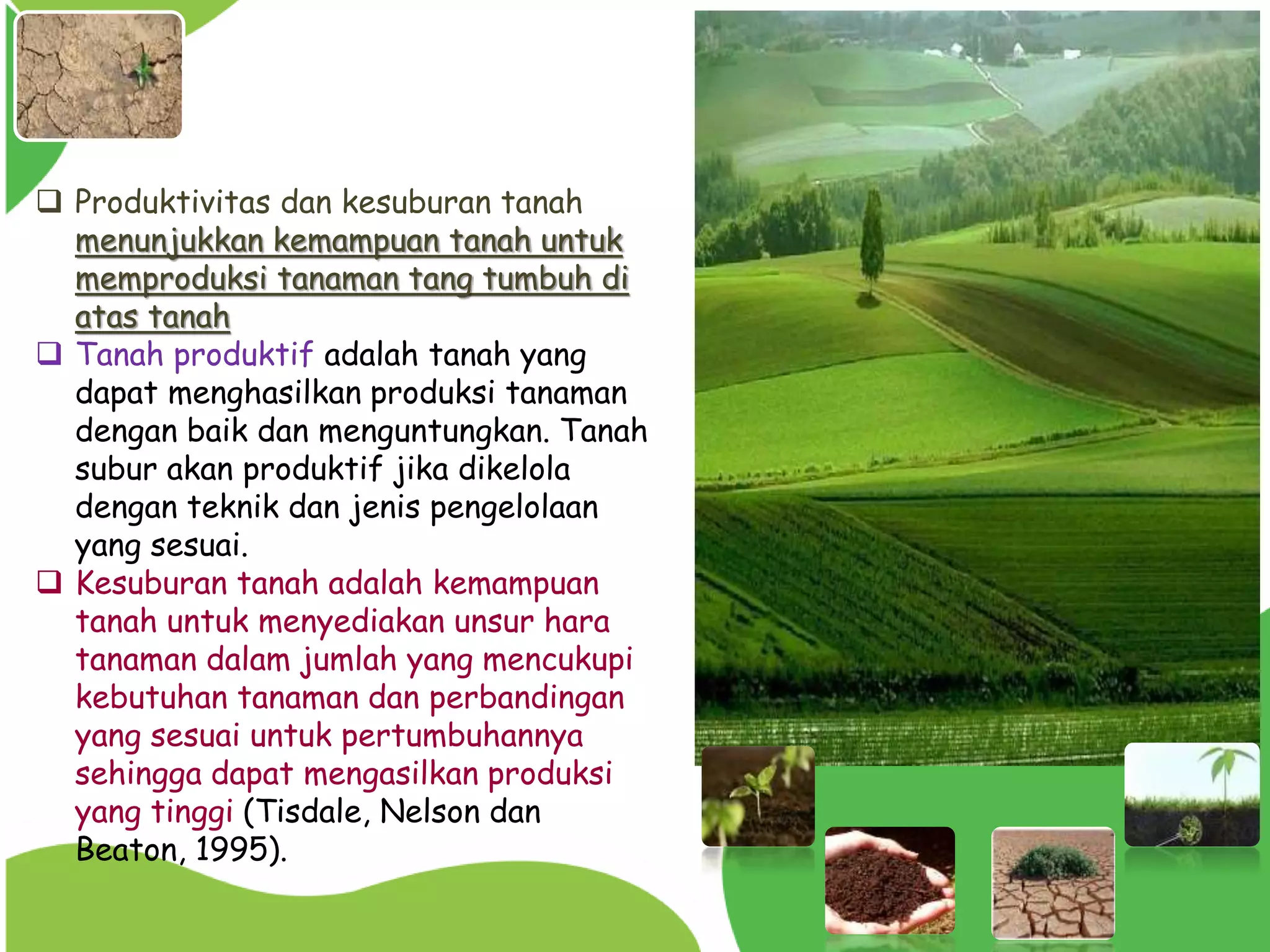 Pengantar Ilmu Pertanian | PPT