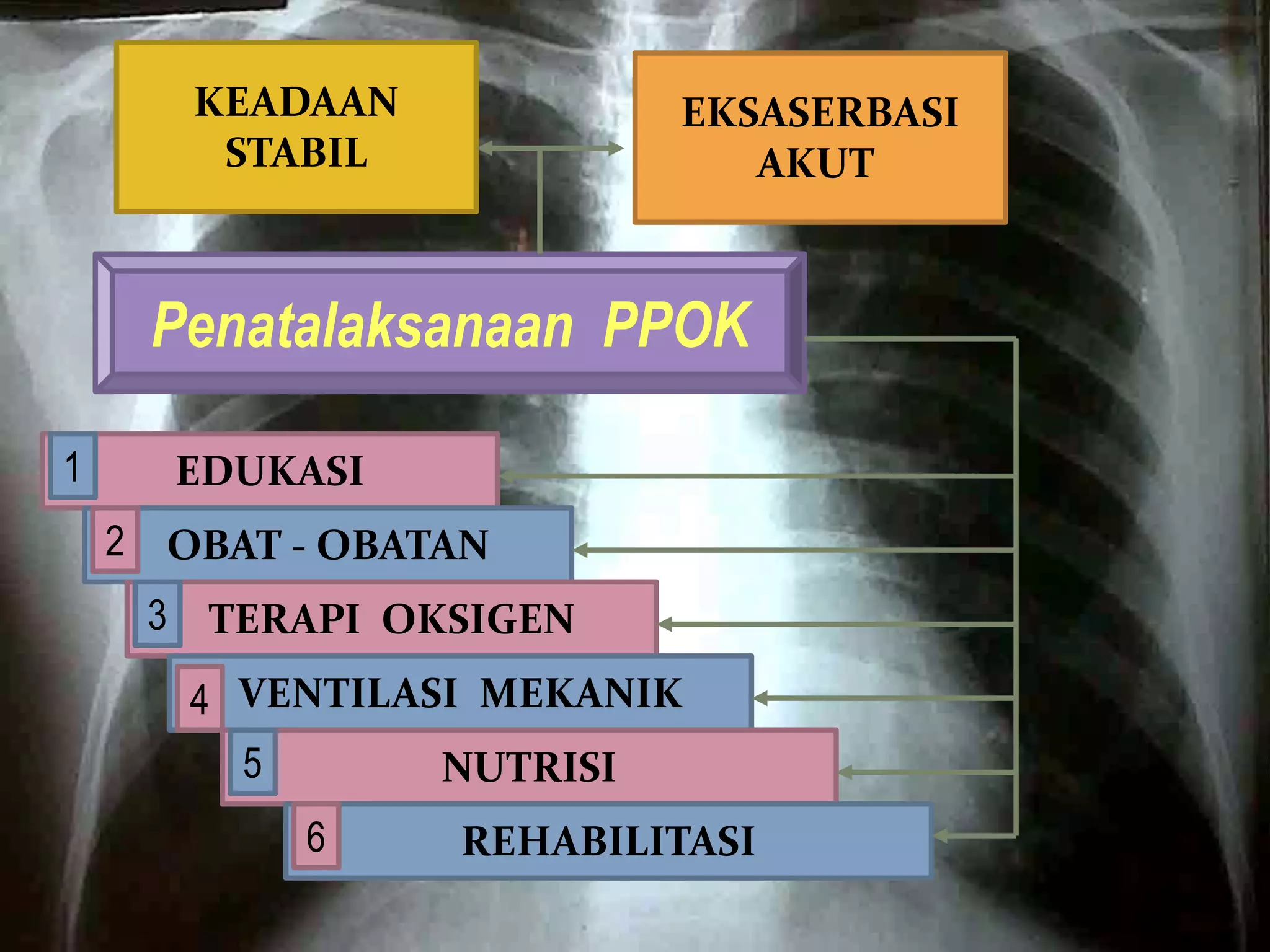 Ppt ppok | PPTX