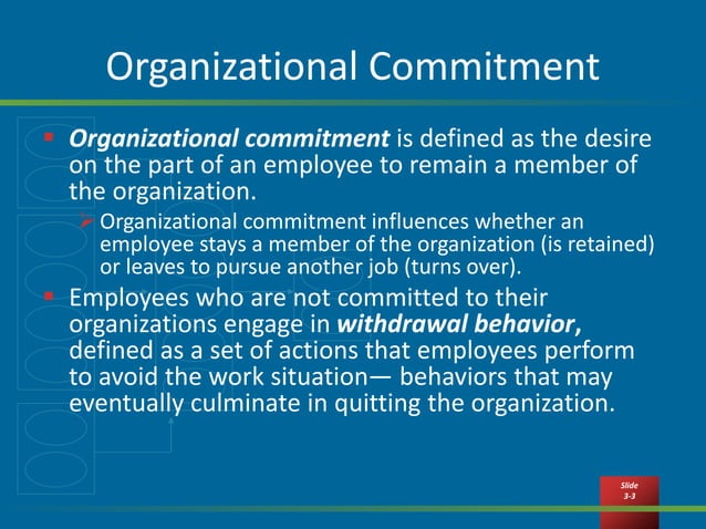 PPTPPTOrganizationalChap003_Detailed.ppt