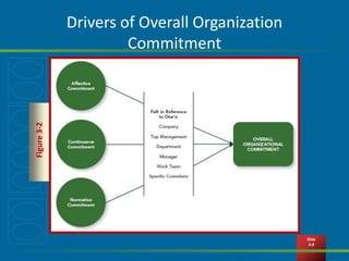 PPTPPTOrganizationalChap003_Detailed.ppt