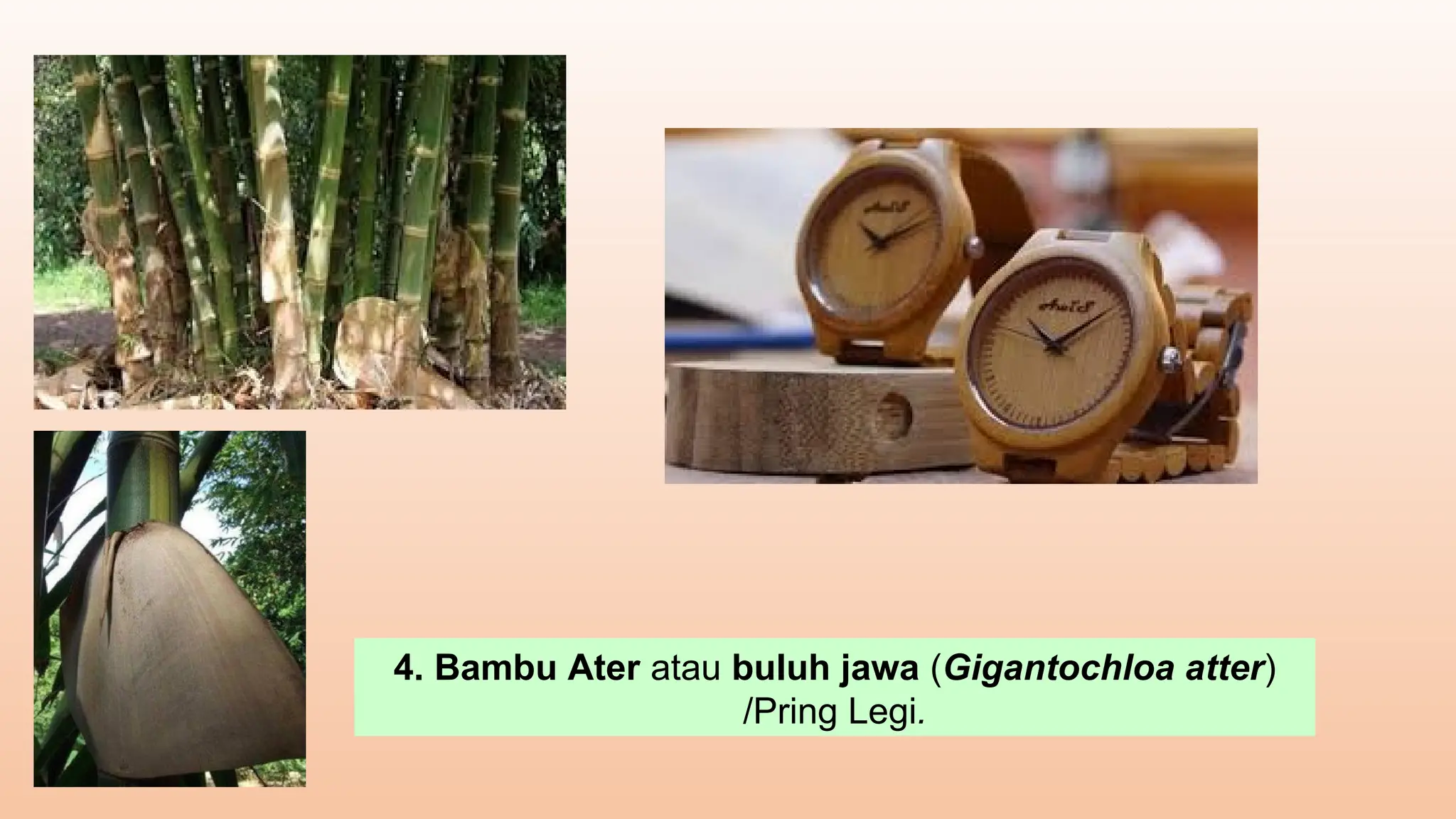 PPT PRAKARYA PROSES PRODUKSI KERAJIANAN BAHAN KERAS.pptx