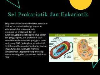 PPT praktikum Biologi Kel. 1.pptx