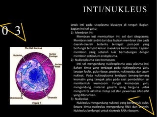PPT praktikum Biologi Kel. 1.pptx
