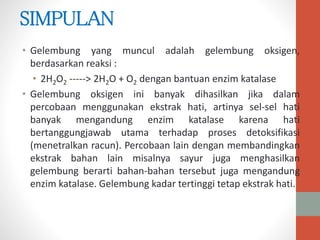 Ppt praktikum enzim katalase | PPTX