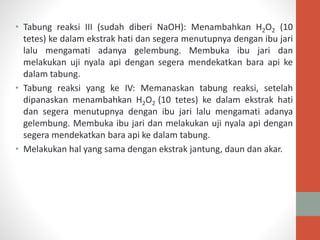 Ppt praktikum enzim katalase | PPTX