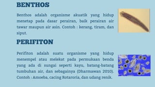 PPT Praktikum minggu 3_Analisis Laboratorium.pptx