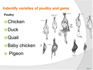 PPT_Prepare_and_cook_poultry_and_game_me.pptx