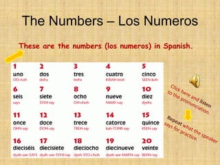 Español (Spanish) for Beginners | PPTX