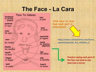 Español (Spanish) for Beginners | PPTX