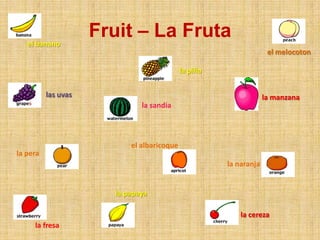 Español (Spanish) for Beginners | PPTX