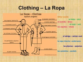 Español (Spanish) for Beginners | PPTX