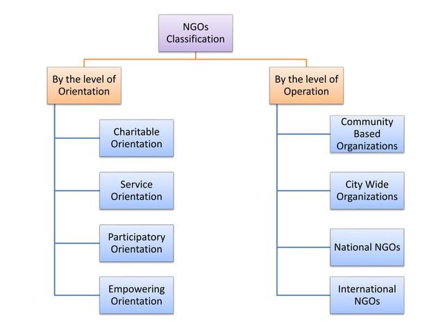 Non Government Organizations in India .pptx