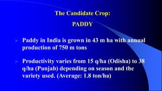 Scope to Fortify Paddy Straw with Groundnut Haulms | PPT