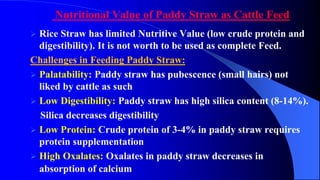Scope to Fortify Paddy Straw with Groundnut Haulms | PPTX