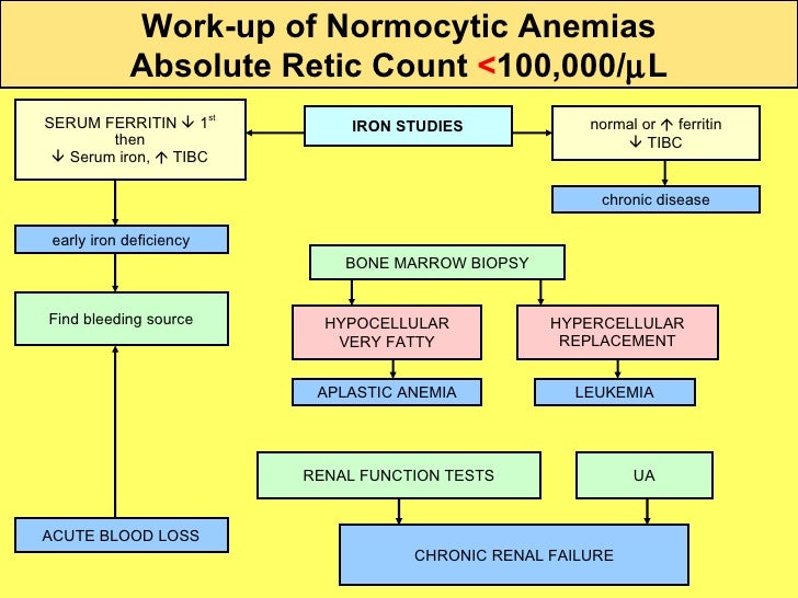 Iron studies interpretation - qustapplications