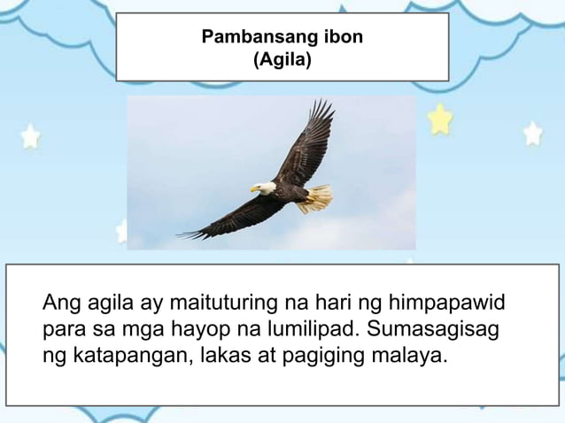 PPT presentation in AP.pptx