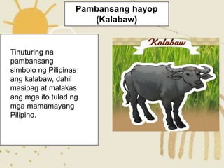 PPT presentation in AP.pptx