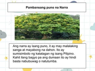 PPT presentation in AP.pptx