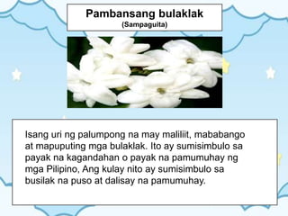 PPT presentation in AP.pptx