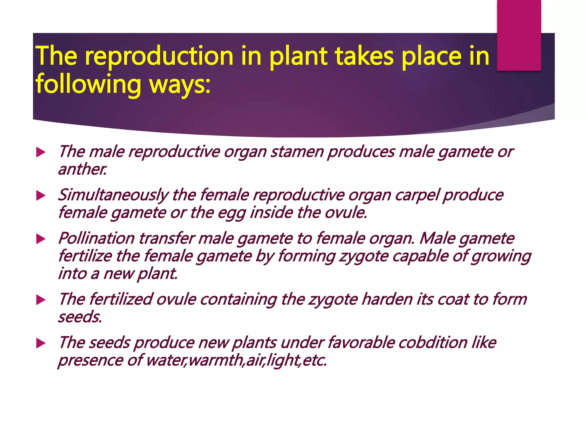 ppt presentation in flowering plant-1.pptx