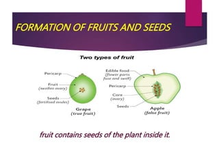ppt presentation in flowering plant-1.pptx