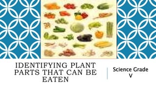 IDENTIFYING PLANT PARTS THAT CAN BE EATEN | PPTX