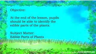 IDENTIFYING PLANT PARTS THAT CAN BE EATEN | PPTX