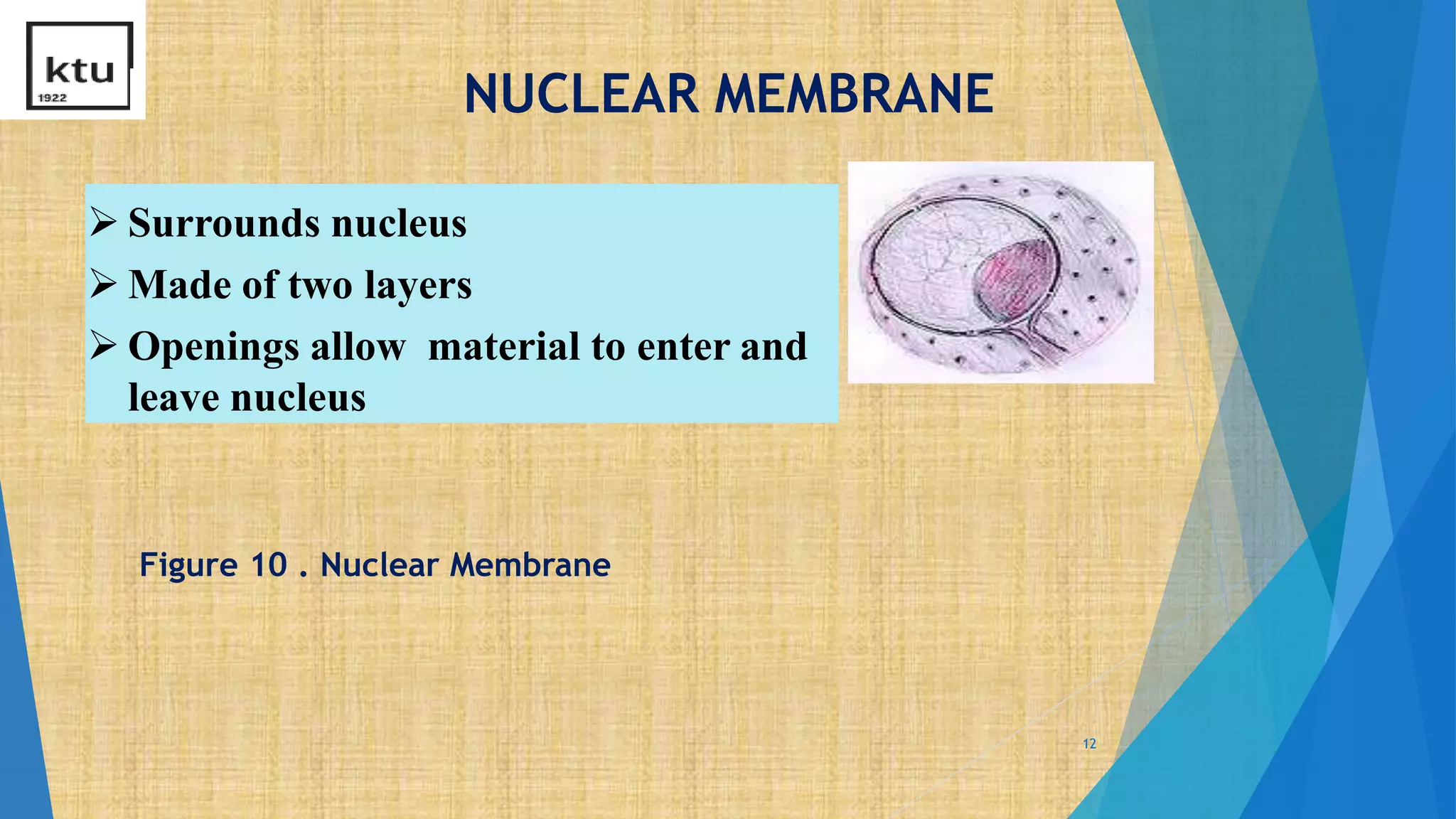 Ppt presentation on cell types, structure and functions (1) | PPT