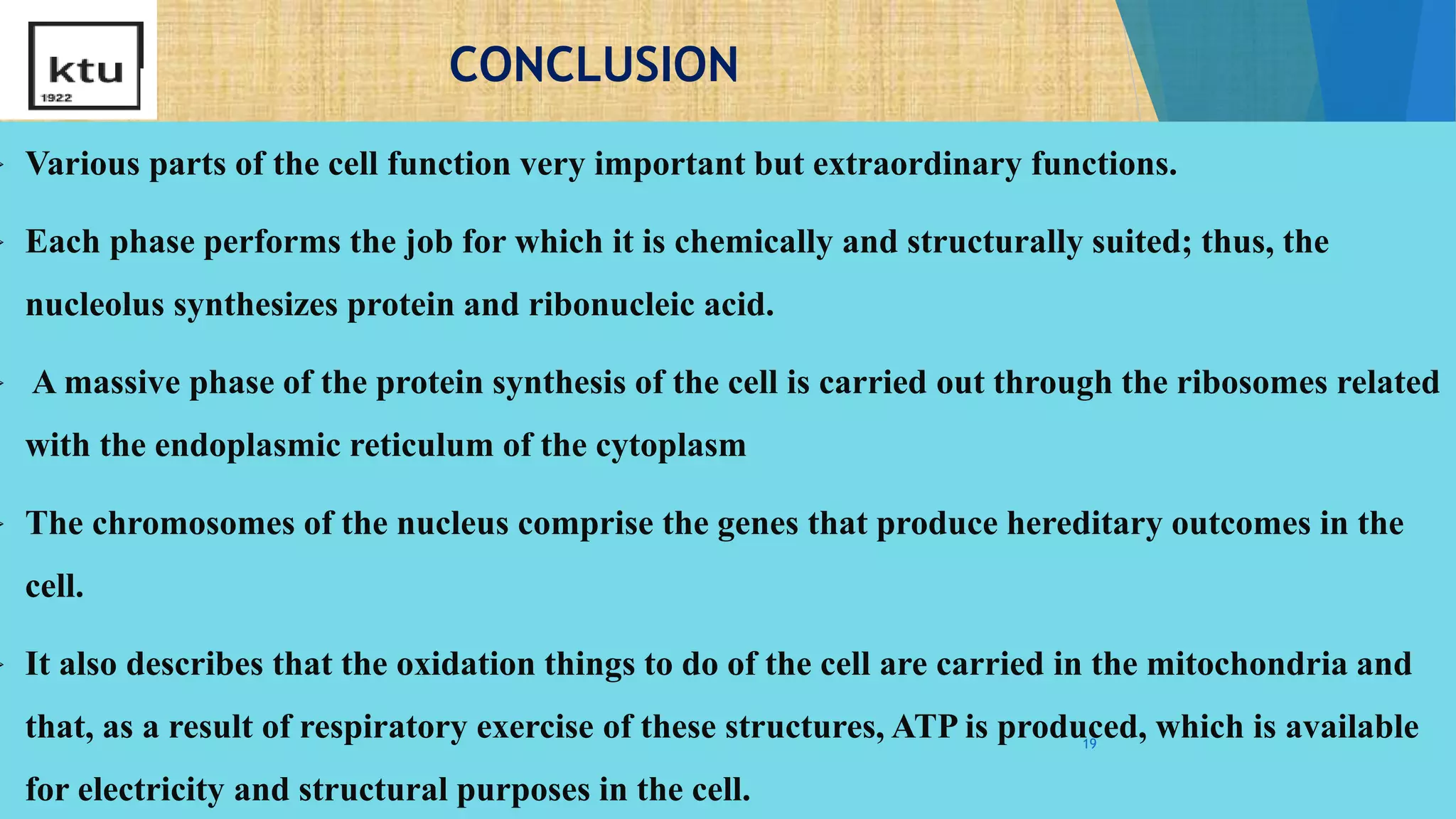 Ppt presentation on cell types, structure and functions (1) | PPT