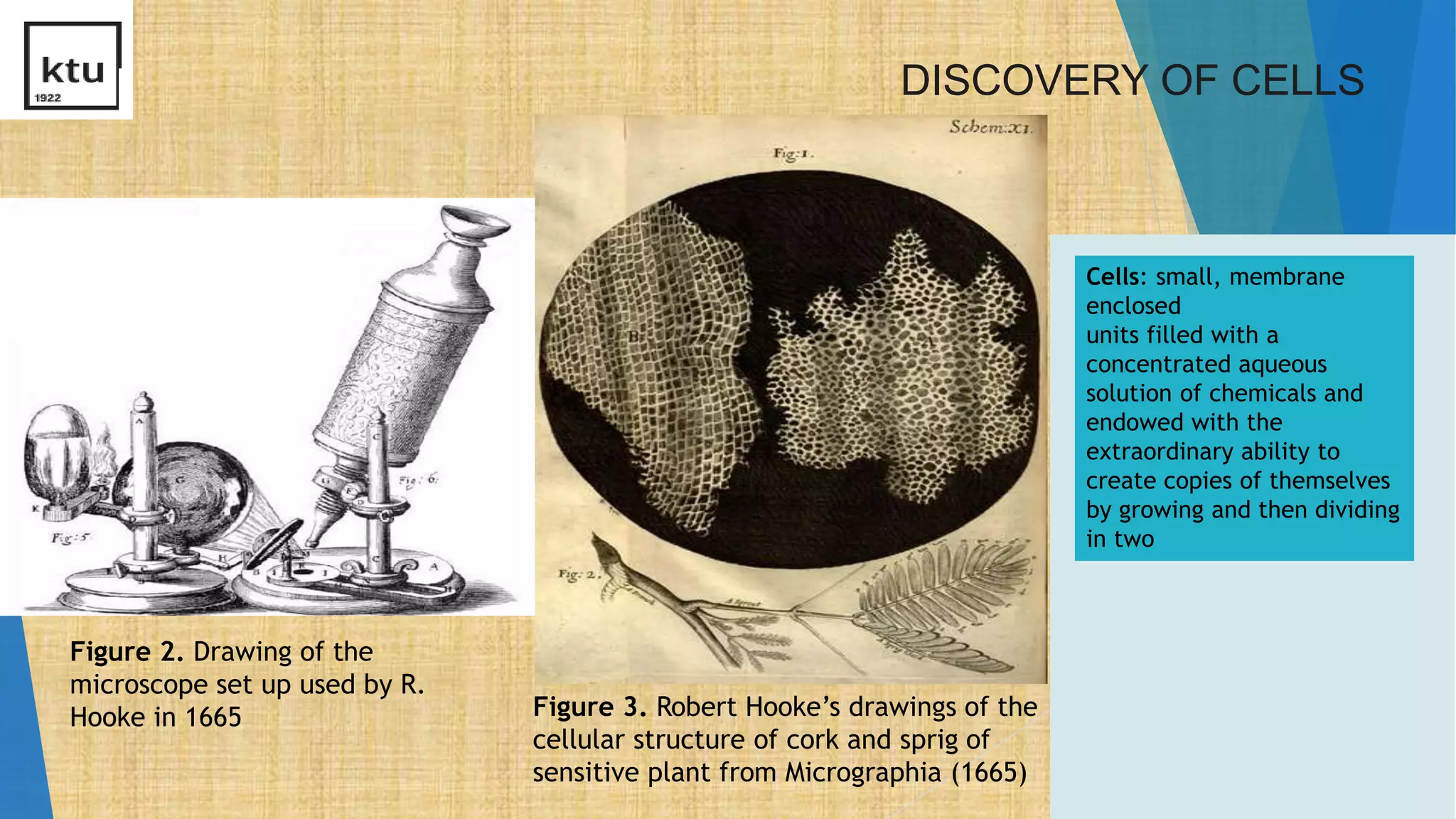 Ppt presentation on cell types, structure and functions (1) | PPT