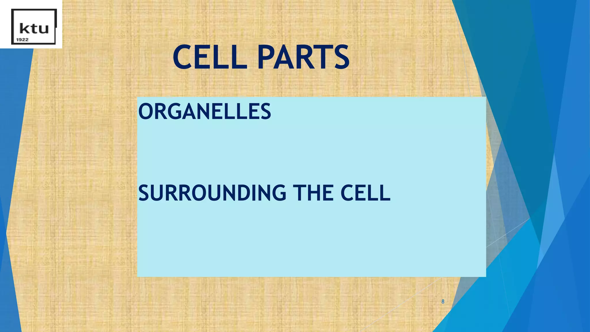 Ppt presentation on cell types, structure and functions (1) | PPT