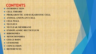 Ppt presentation on cell types, structure and functions (1) | PPT